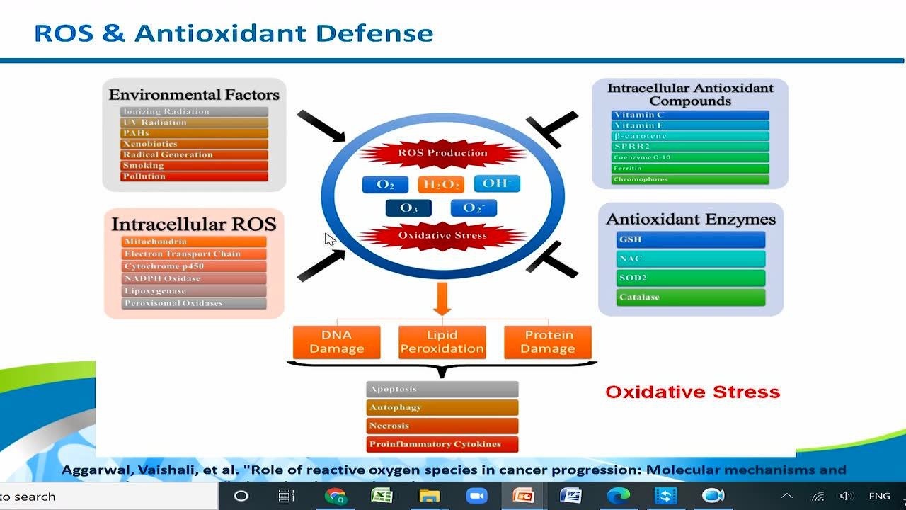 细胞内活性氧(ROS)的荧光检测技术_腾讯视频