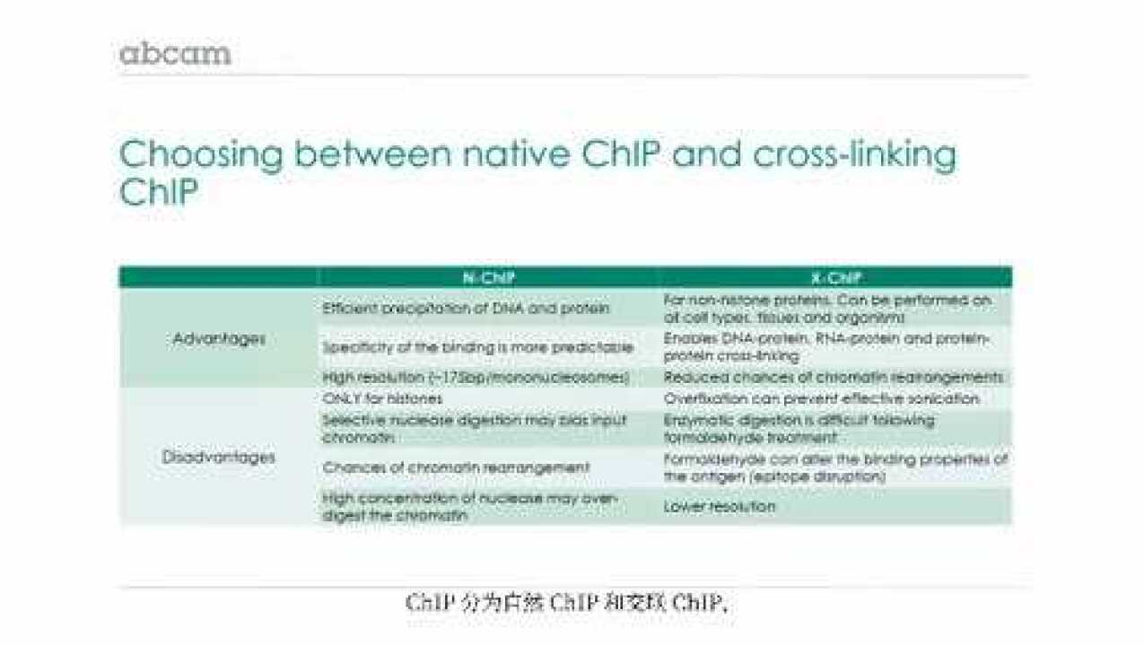 第二课：ChIP实验方案交联ChIP（X-ChIP）与自然ChIP（N-ChIP）实验方案_高清1080P在线观看平台_腾讯视频