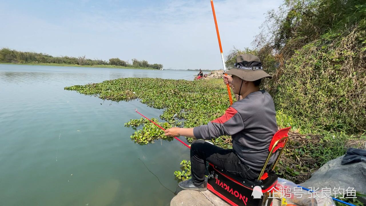 野钓赤眼鳟，下竿到上鱼两分钟搞定！_高清1080P在线观看平台_腾讯视频