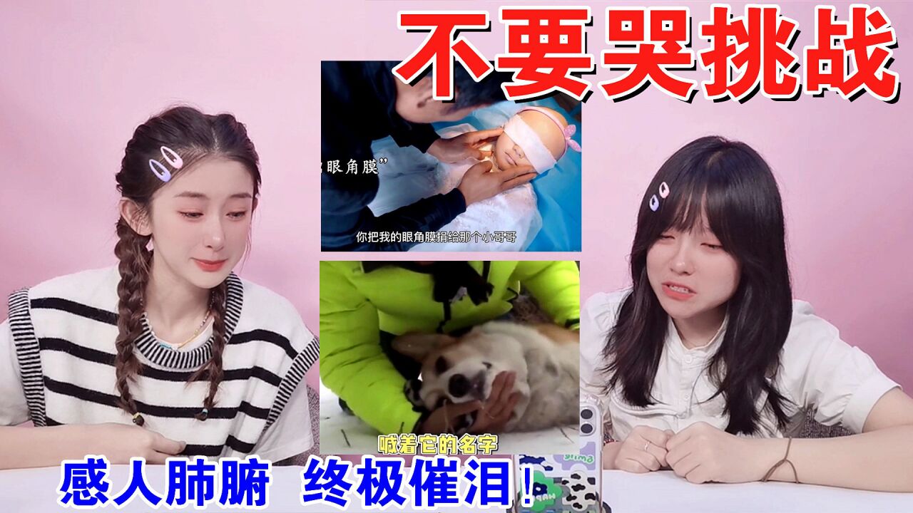 不要哭挑战！这期感人程度让人爆哭，根本停不下来，你能坚持看吗_腾讯视频