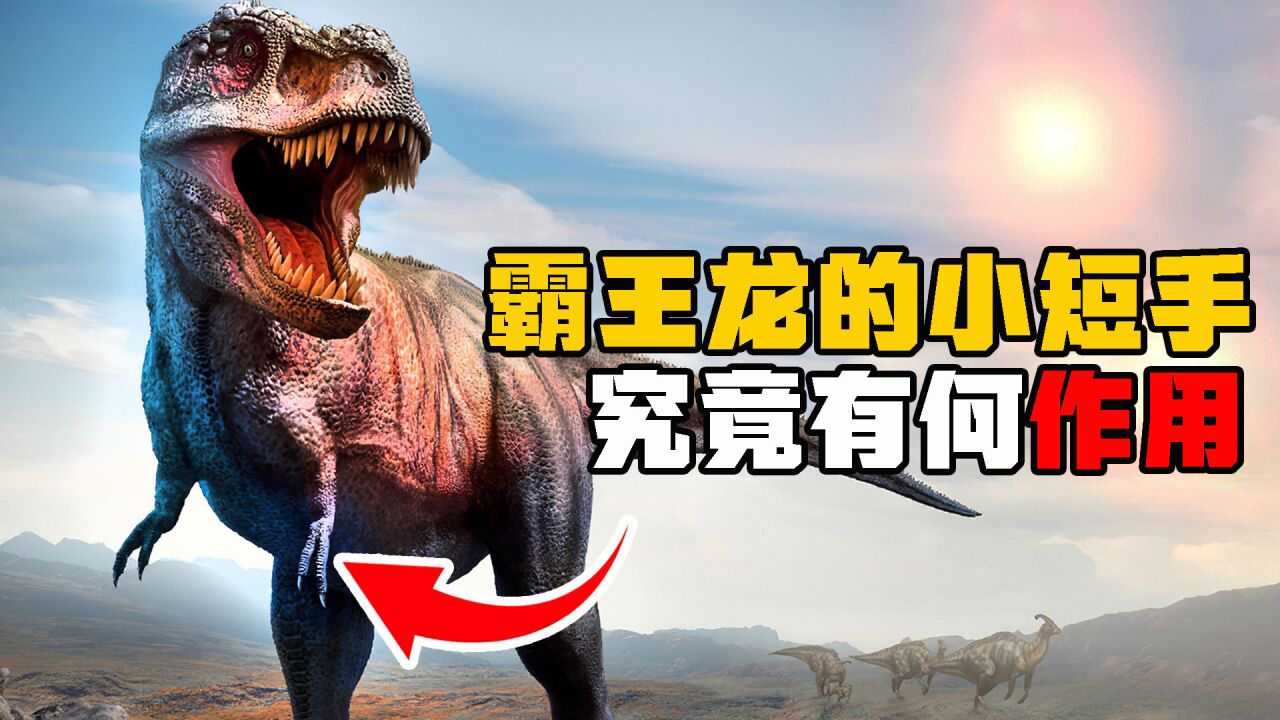 第05集 霸王龙尴尬的小短手，究竟有何作用？_高清1080P在线观看平台_腾讯视频