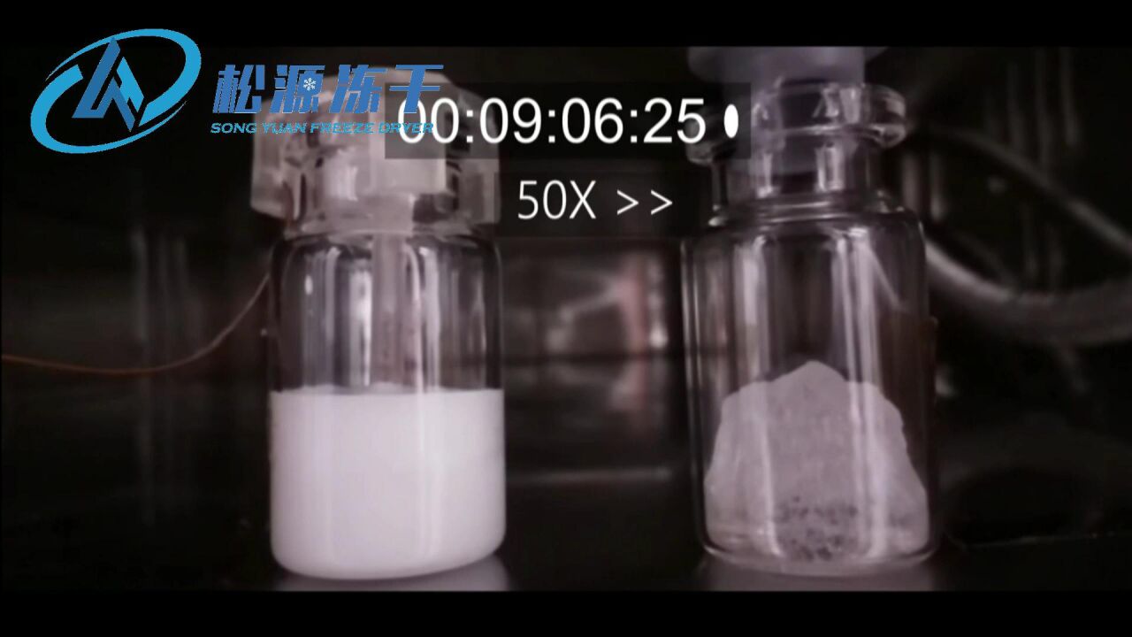 冷冻干燥机一般过程，冻干过程视频，西林瓶冻干，冷冻干燥全程录像，溶质冻干，水冻结升华过程，溶剂冻干过程，冻干机（冷冻干燥机）厂家松源冻干。素材 ...