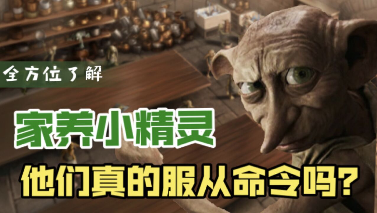 《哈利波特》霍格沃茨魔法史——家养小精灵_腾讯视频