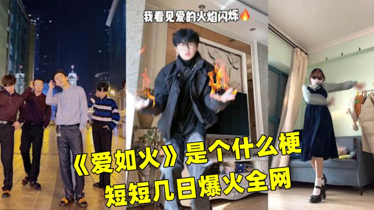 《爱如火》是个什么梗,短短几日爆火全网,太会玩了 高清1080p在线观看平台腾讯视频