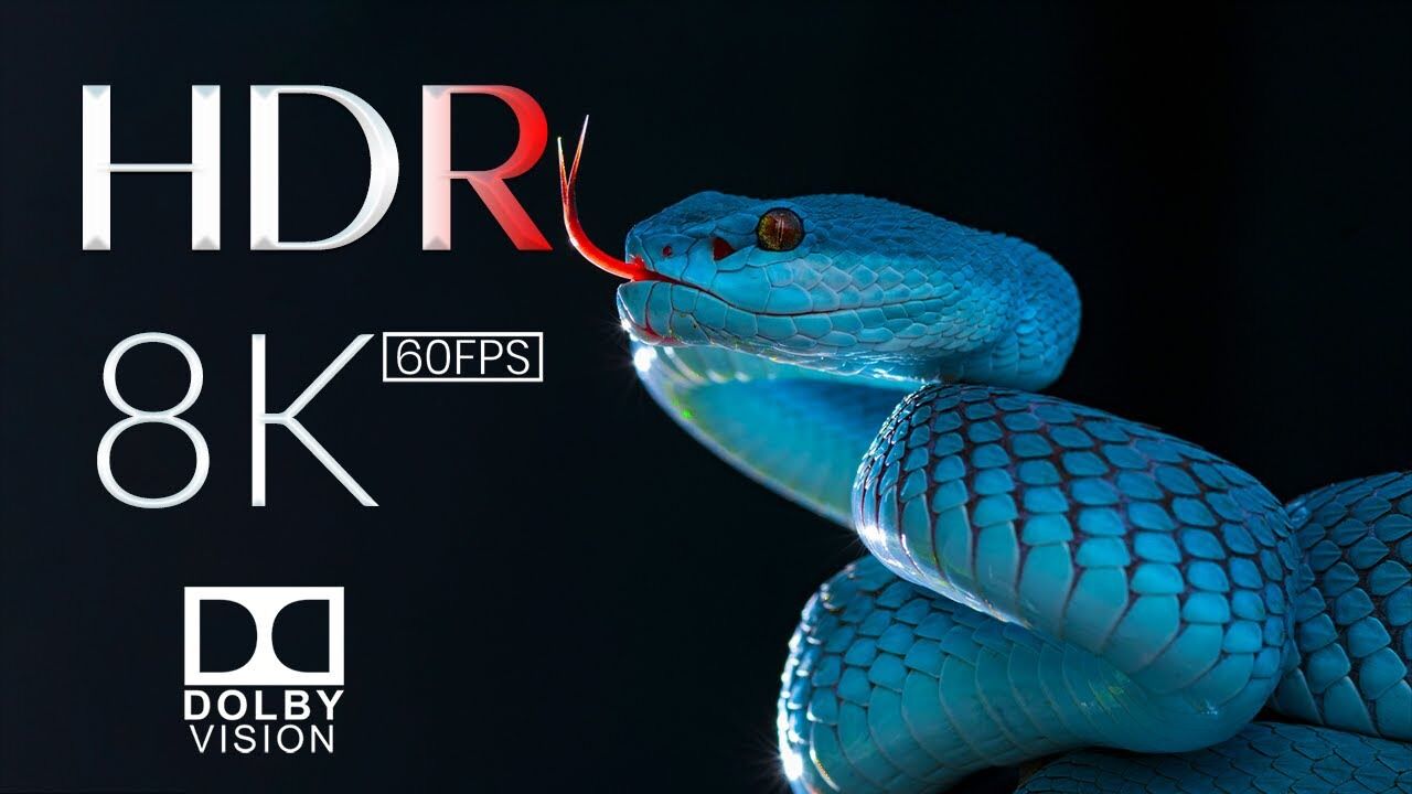 8KHDR杜比视界演示-令人惊叹的鲜艳色彩_高清1080P在线观看平台_腾讯视频