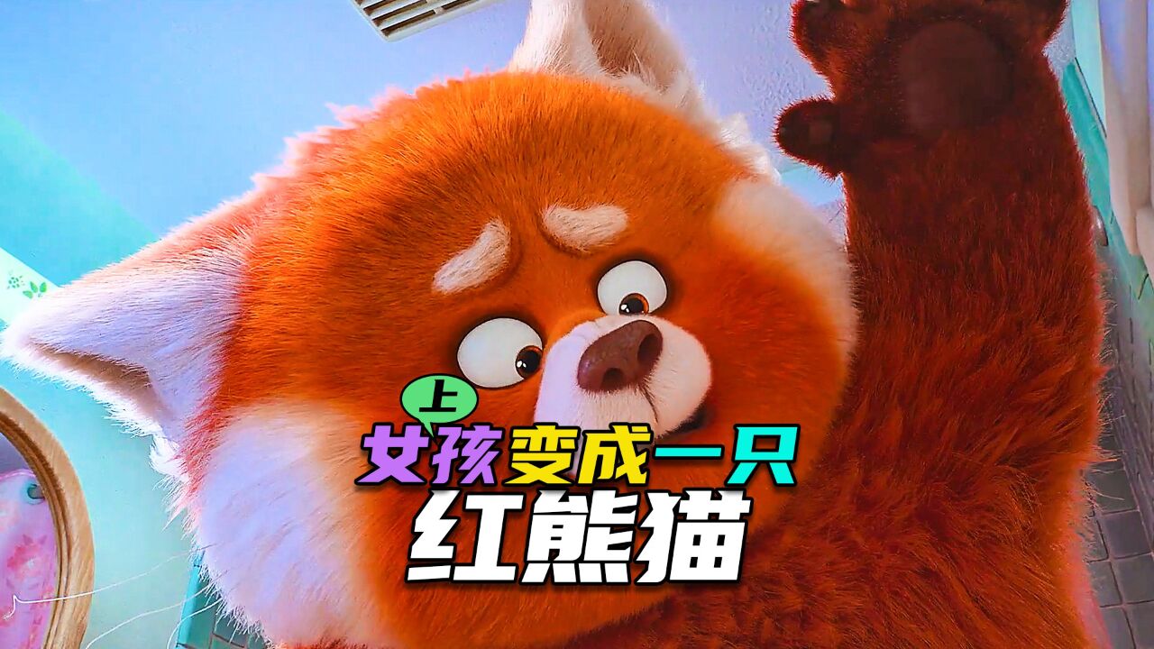 红熊猫-上|女孩一觉醒来发现自己变成了一只红熊猫#动画电影解说全集#一口气看完动画电影#可爱动画电影#成长类型的动画电影#亲子动画电影#治愈系 ...
