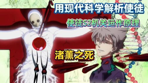 用现代科学解析EVA使徒：S2机关运作原理，渚薰死于物理攻击吗？_高清1080P在线观看平台_腾讯视频