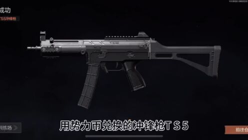 【暗区突围】国产TS5冲锋枪，单兵防卫武器！“老6枪”_高清1080P在线观看平台_腾讯视频
