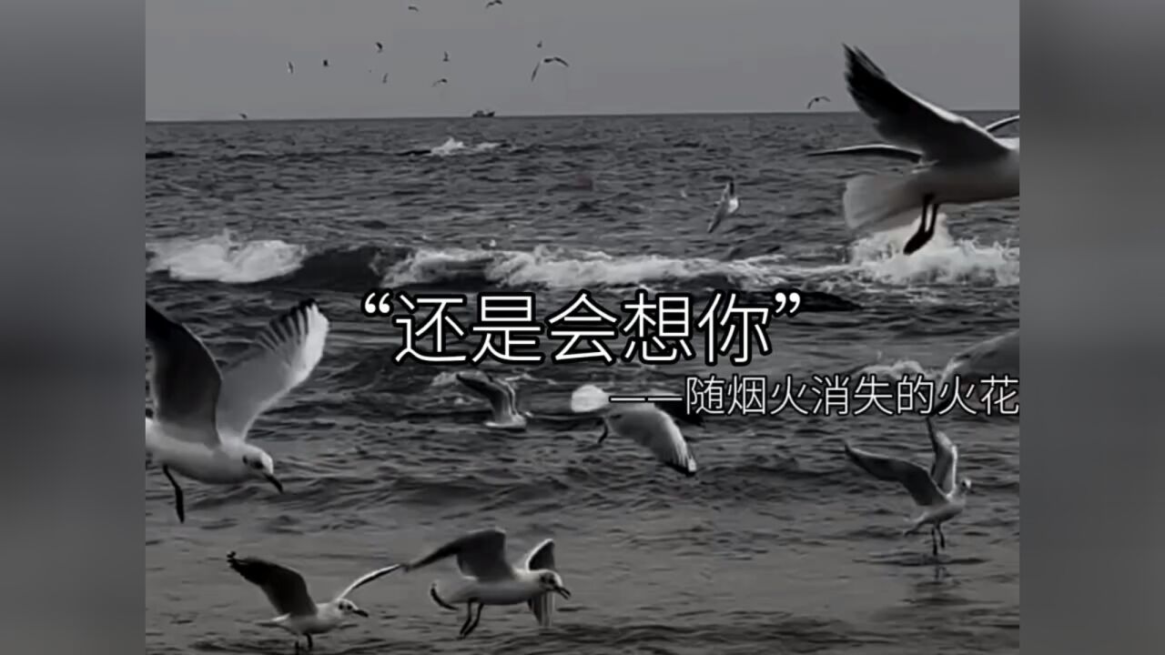 可能你早就变了是我记忆中的你太好了.#h3r3#还是会想你#h3R3刘清云live氛围_高清1080P在线观看平台_腾讯视频