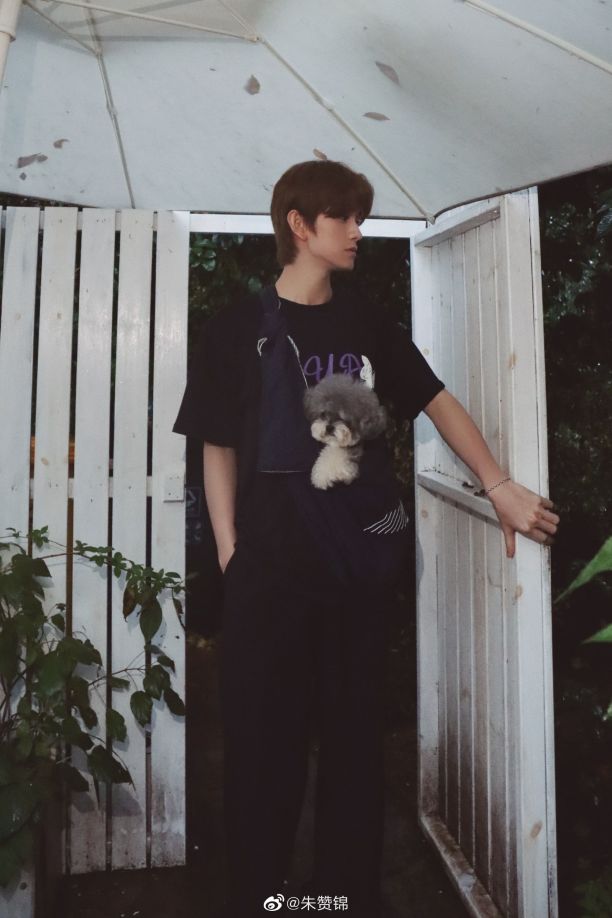 朱赞锦-doki@腾讯视频：超全的朱赞锦资讯、视频、粉丝、直播、活动集合